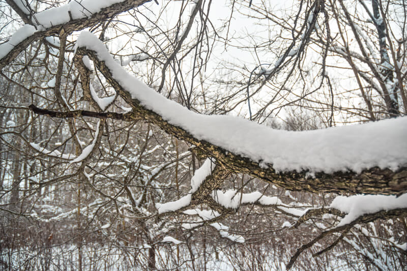 Hiking the Ice Age Trail in Winter | When You Wander